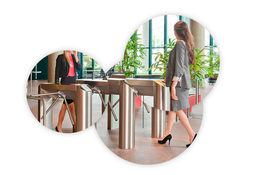 Layout2020 OrgaoPlub | MILLDESK